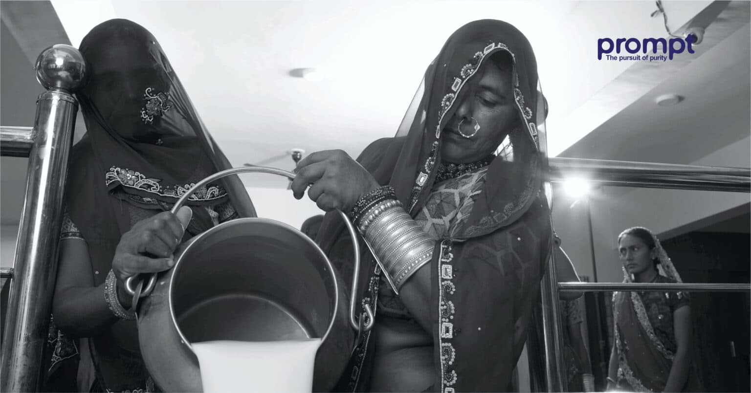 Automatic Milk Collection System for Improved Dairy Farming