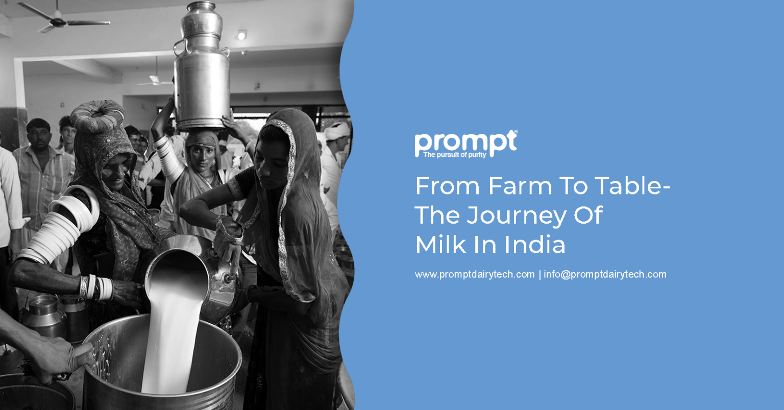 From Farm To Table: The Journey of Milk in India